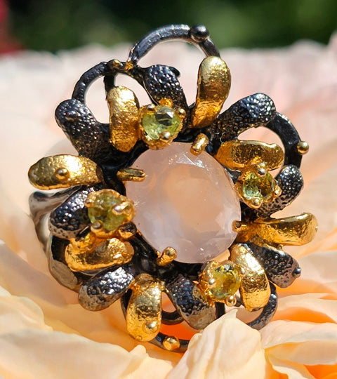 Rosebud – Out Designs